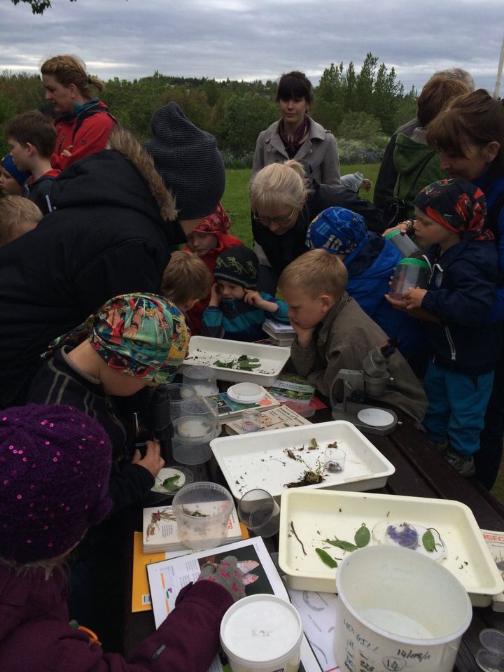 Pöddulíf í Elliðaárdal